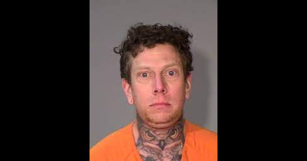 Christian Dahm: Minnesota man pleads guilty to manslaughter in mother's ...