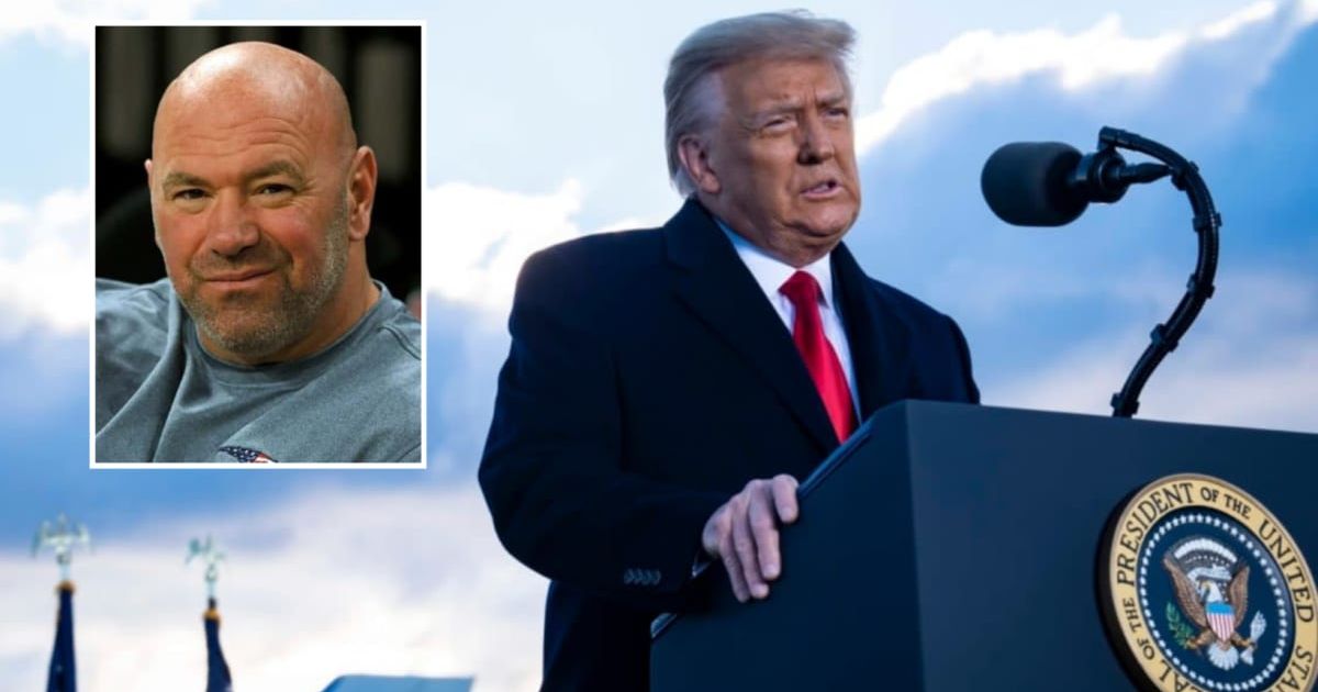 'Not in any reality': UFC CEO Dana White mocked as he hails Donald ... 'Not in any reality': UFC CEO Dana White mocked as he hails Donald ...
